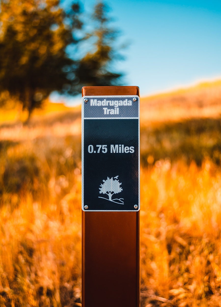 Custom Signage Displays Designed for Museums, Galleries, Showrooms, and ...